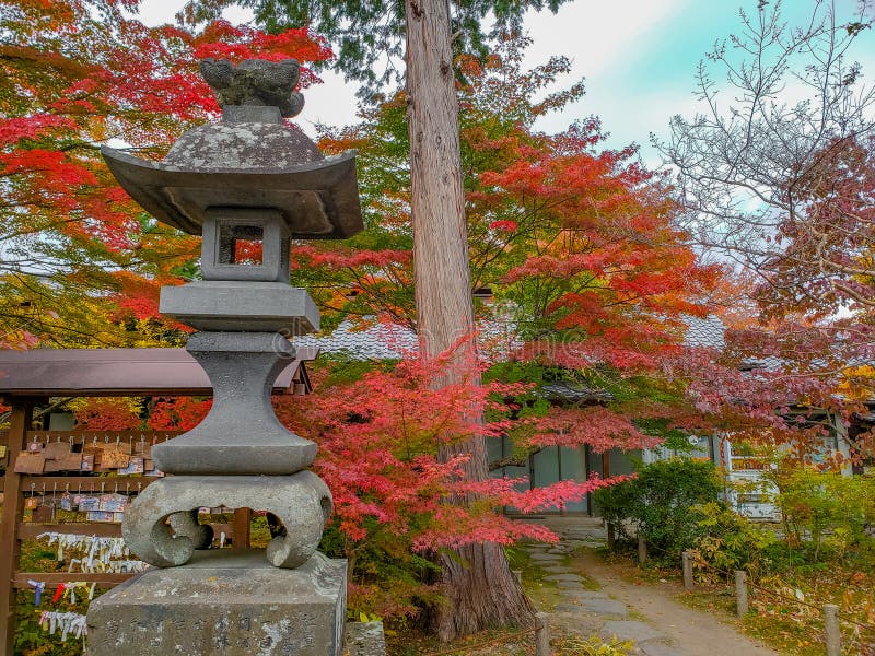 Autumn in Japan at shrine stock photo. Image of colorful - 137657042