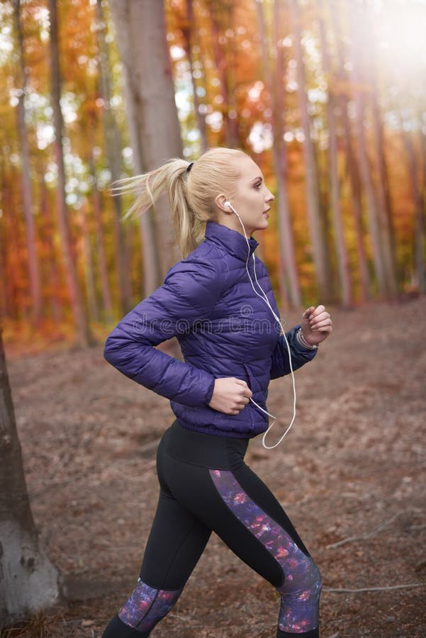 Autumn jogging stock image. Image of autumn, equipment - 76331425