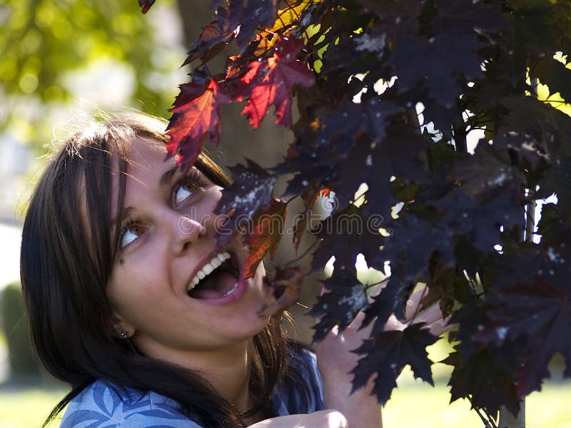 Autumn Joy stock image. Image of sandra, park, ecology - 58525111