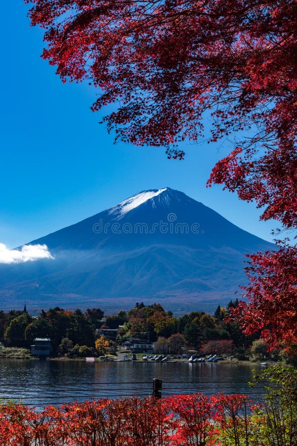Autumn at Mt.Fuji stock image. Image of kachi, morning - 178626697