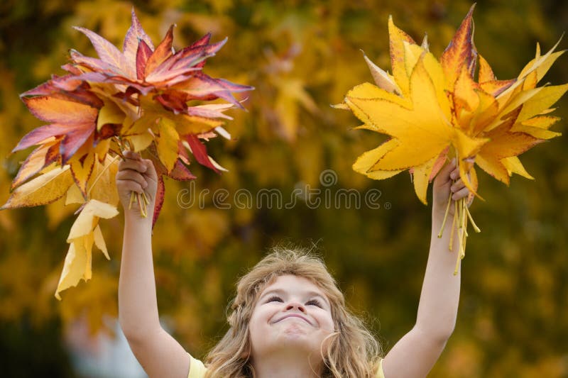 Autumn Kids Mood. Child with Fall Leaves Over Maple Leaf Background ...