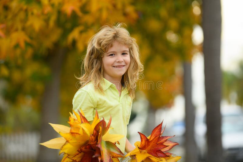 Autumn Kids Mood. Child with Fall Leaves Over Maple Leaf Background ...