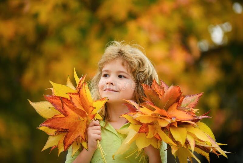 Autumn Kids Mood. Child with Fall Leaves Over Maple Leaf Background ...