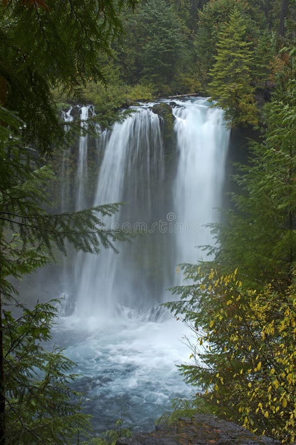 Autumn at Koosah Falls Central Oregon Stock Image - Image of people ...