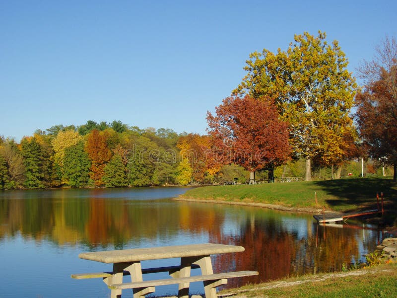 Illinois Fall stock image. Image of lake, forest, autumn - 12704283