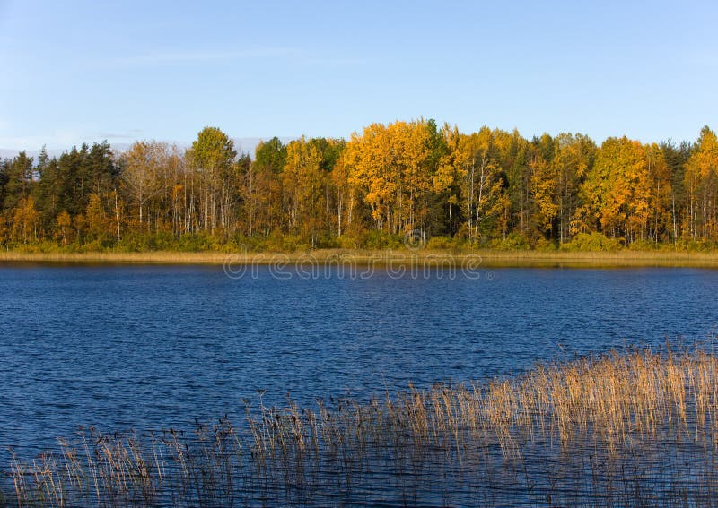 Autumn lake stock image. Image of terrain, lush, color - 11307585