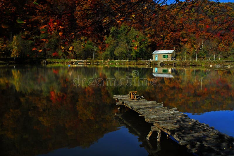 Autumn lake stock photo. Image of bright, relax, foliage - 11385870