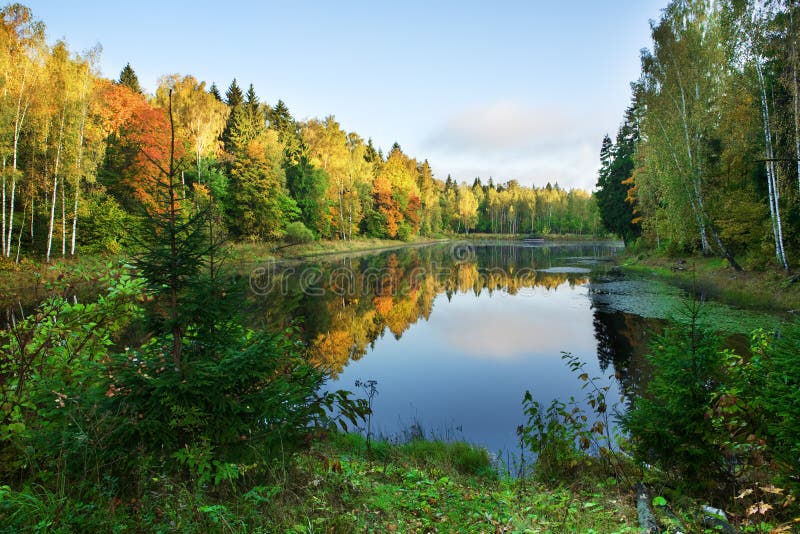 Autumn lake stock image. Image of pond, flora, plant - 12496169