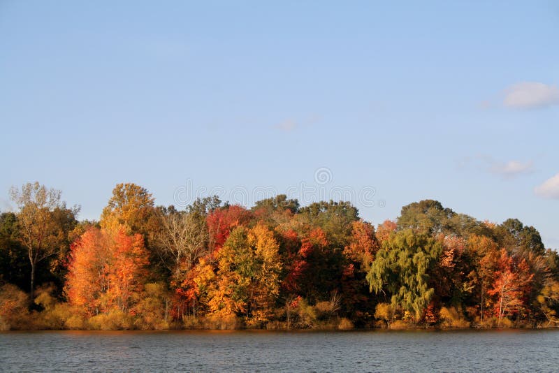 Autumn Lake stock photo. Image of water, seasonal, trees - 1401036