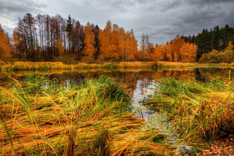 Autumn Lake stock image. Image of falling, calm, autumn - 21519983