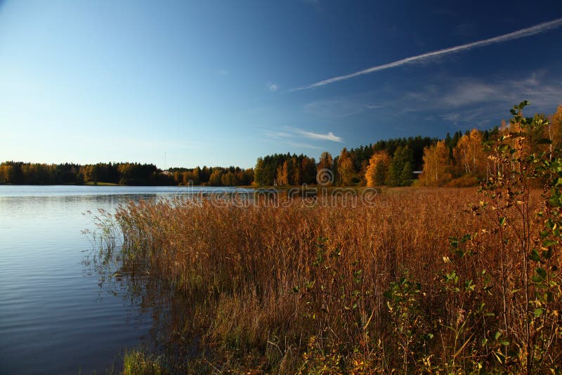 Autumn lake stock image. Image of green, scene, scenic - 21585929