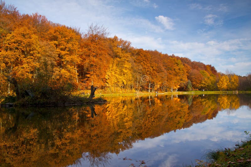 Fall Foliage Reflected in a Lake, Blue Ridge Pkwy. Stock Image - Image ...