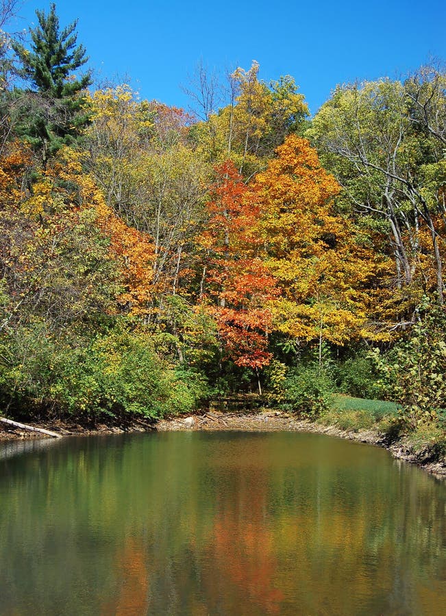 Autumn lake stock photo. Image of outdoors, serene, park - 3430318
