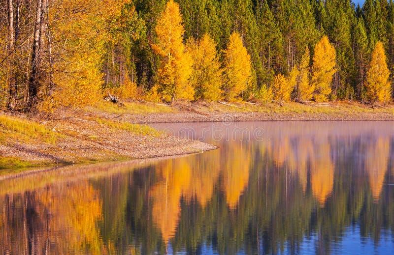 Autumn lake stock photo. Image of autumn, tree, wood - 14397924