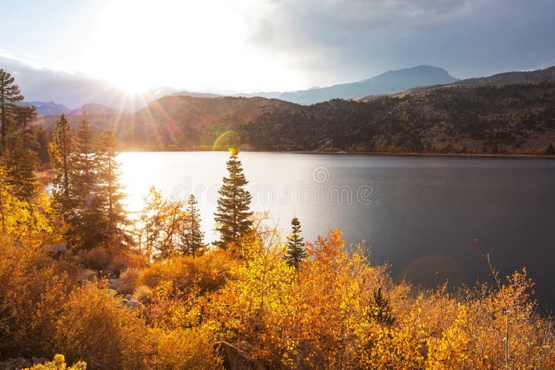 Autumn lake stock image. Image of pier, recreation, leaves - 156366533