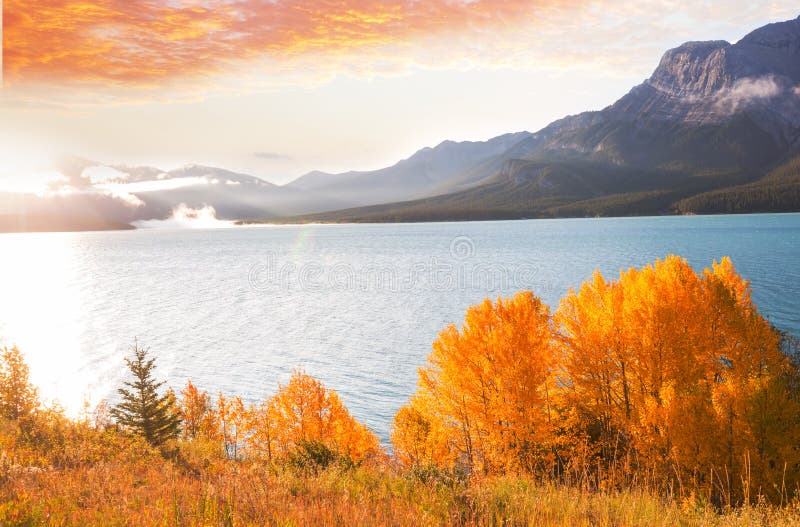 Autumn lake stock image. Image of nature, landscapes - 195623099