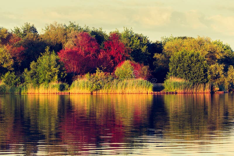 Autumn at lake stock photo. Image of relax, nostalgia - 78092994