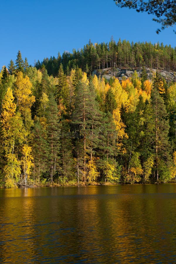 Finland: Autumn colors stock photo. Image of calm, suomi - 12166730