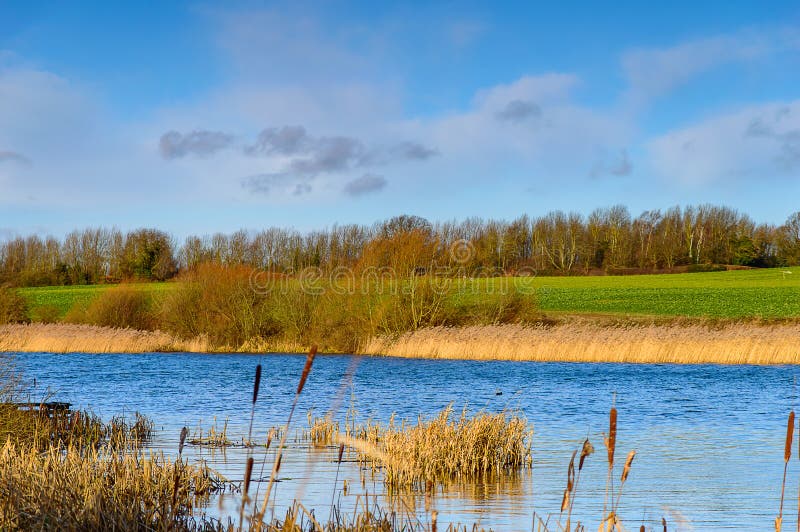 Autumn by the Lake, Nice Weather Stock Photo - Image of shore, marsh ...