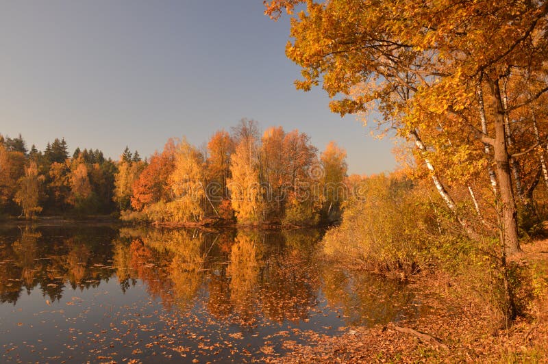 Autumn stock photo. Image of trees, branch, reflection - 48129024