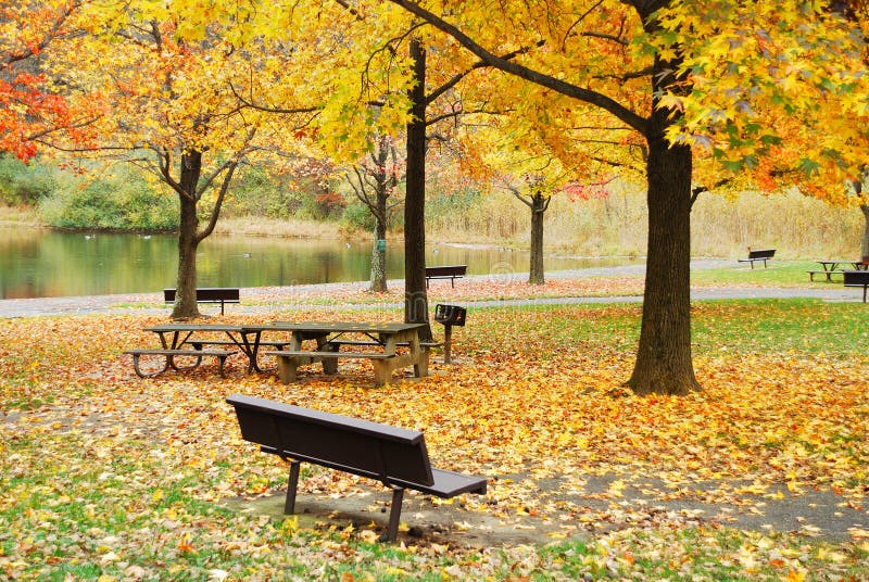 Autumn bench stock photo. Image of season, colorful, october - 11397352