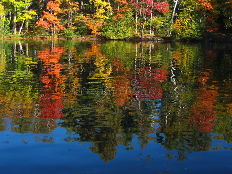 Autumn Lake reflection stock photo. Image of canada, quebec - 1314316