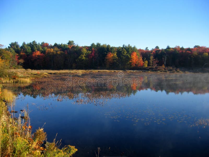 Autumn Lake Reflection with a Canoe Stock Image - Image of green, fall ...