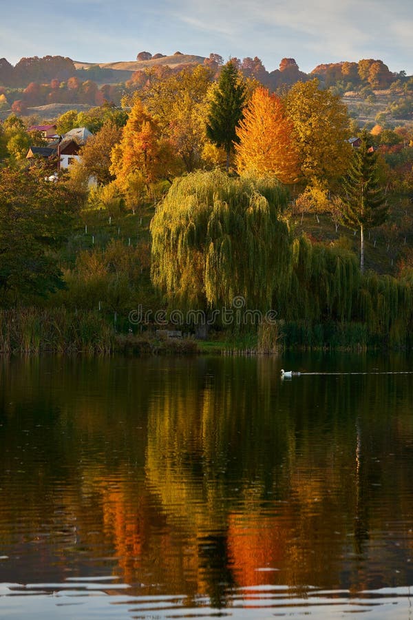Autumn on the Lake with Reflection Stock Image - Image of forest ...