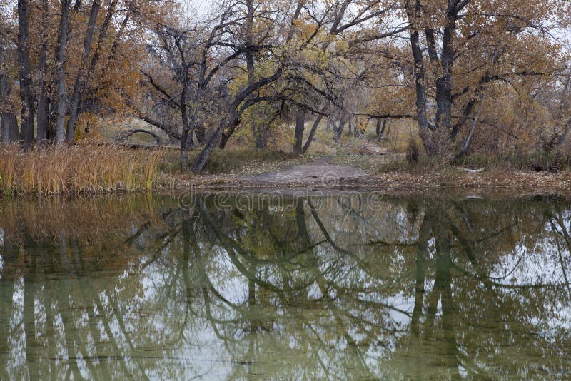 Autumn lake reflections stock image. Image of landscape - 27712105