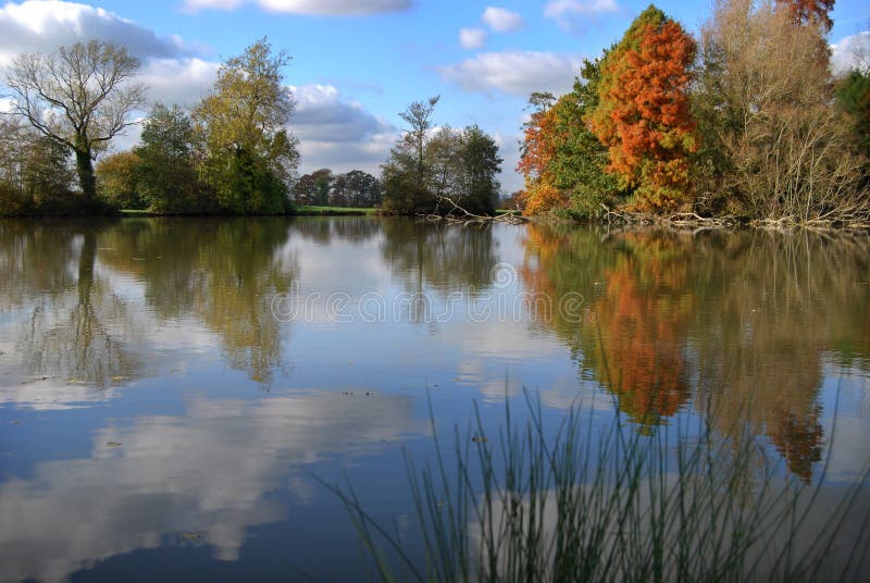 Autumn lake scene stock photo. Image of nature, landscape - 3946184