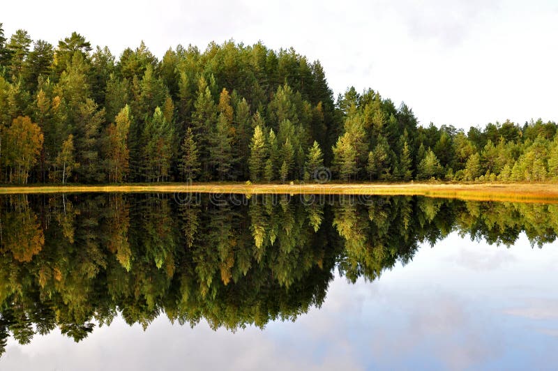 Autumn lake scenery stock photo. Image of autumn, landscape - 26924654