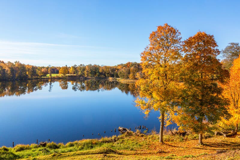 Autumn by a Lake with Trees Stock Image - Image of scenery, calm: 334785675