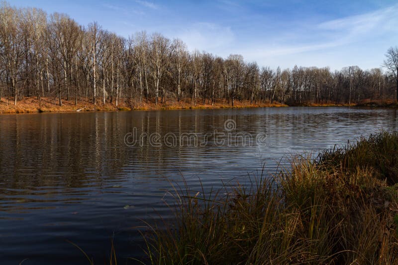 Lake in Samara stock image. Image of park, autumn, samara - 108257079