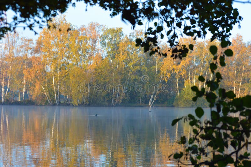 Autumn lake view stock image. Image of landscape, reflection - 71502095
