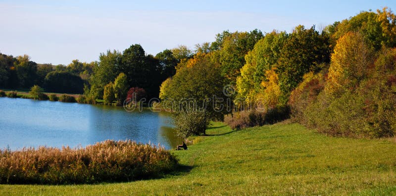Autumn lakeside stock image. Image of green, colors, trees - 51300625