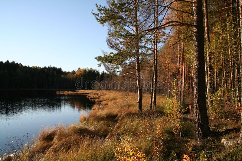 Autumn lakeside stock image. Image of leaves, autumn - 39267653
