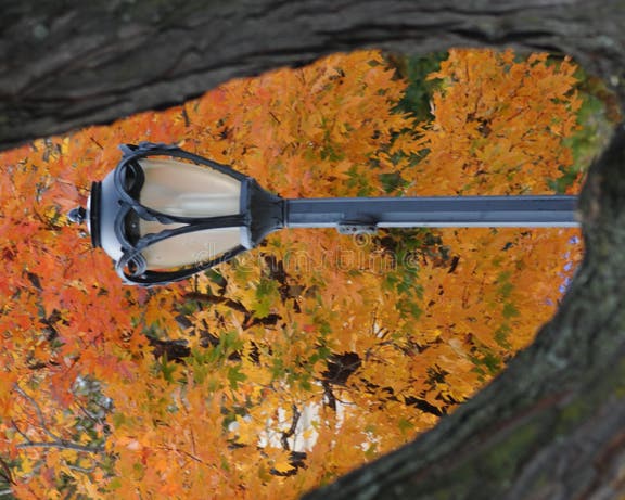 Autumn Lamp Post stock image. Image of fall, lamp, leaf - 11519195