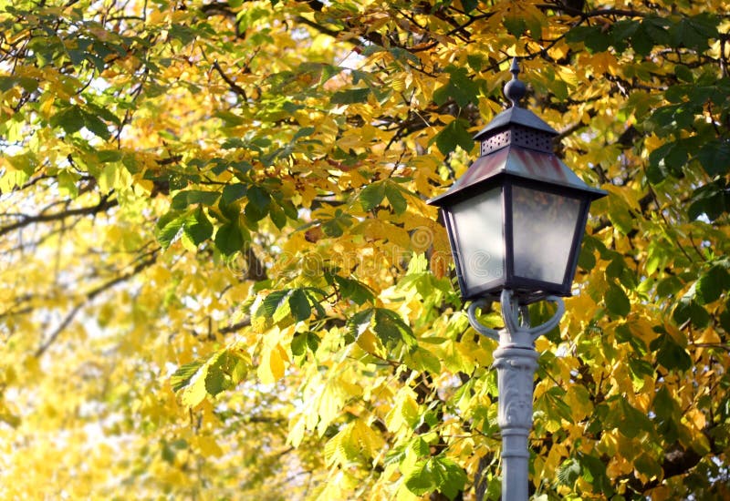 Autumn Lamp Post stock image. Image of natural, environment - 22676731