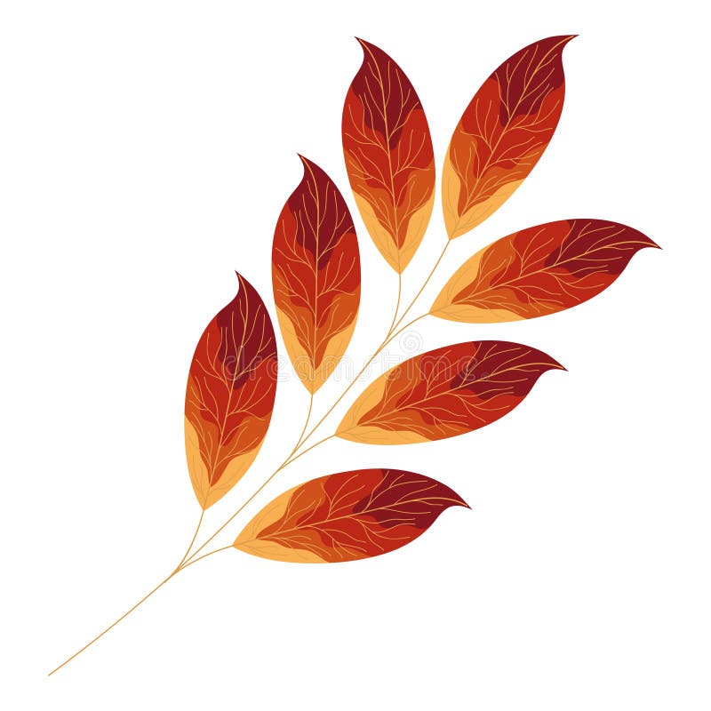 Autumn lanceolate leaves stock vector. Illustration of vector - 225614558