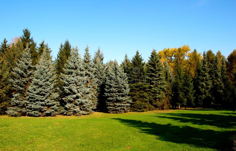 Autumn landmark stock image. Image of fall, organic, environment - 11601307