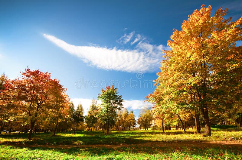 Autumn, Fall Landscape. Tree with Colorful Leaves Stock Photo - Image ...