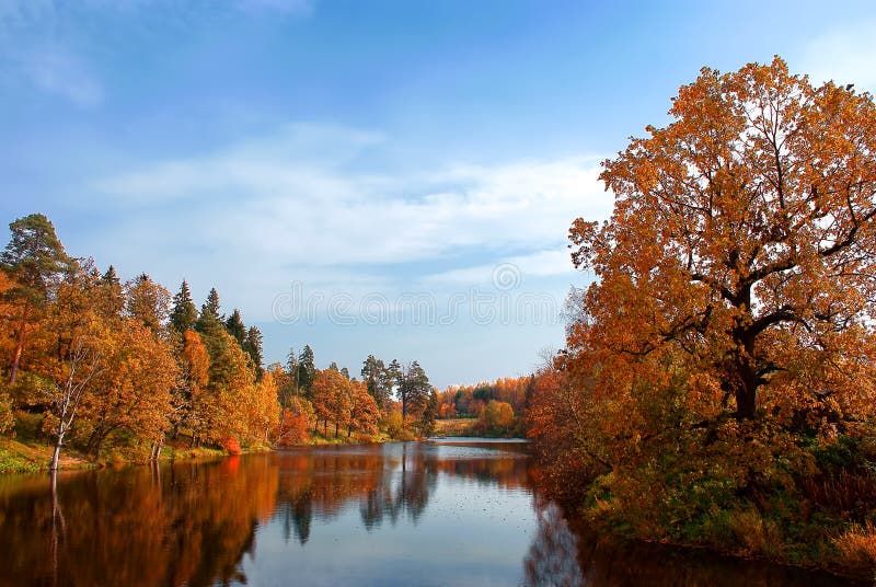 Park Bench by Lake in Autumn Stock Photo - Image of country, forest ...