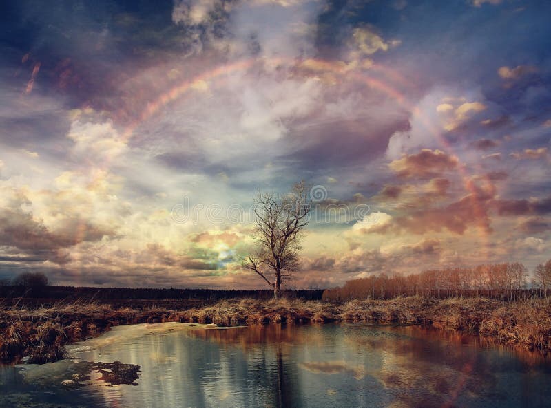 Autumn Landscape with Alone Tree Stock Image - Image of evening, forest ...