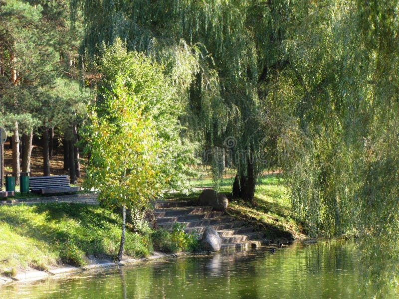 Autumn Landscape Along the Water Channel Stock Photo - Image of ...