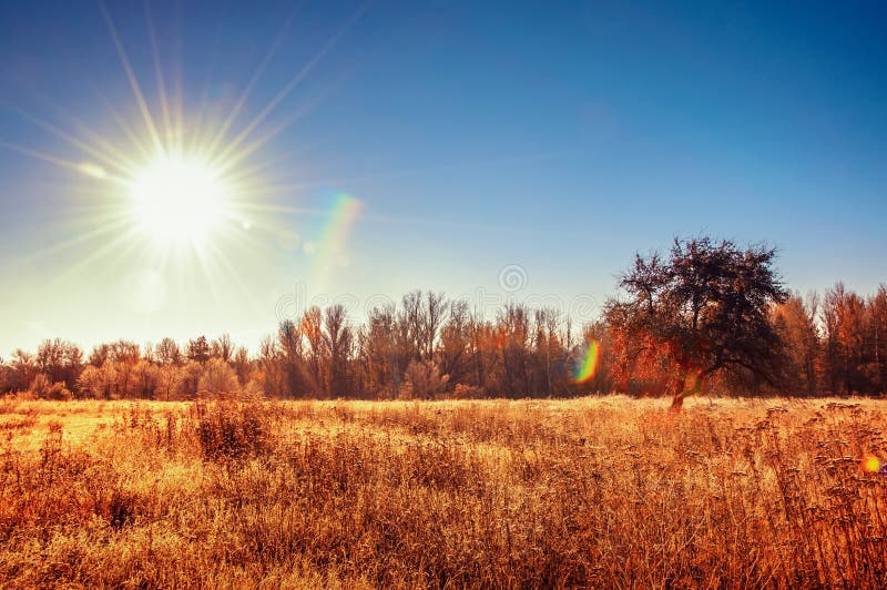 Autumn landscape stock photo. Image of dawn, single - 168697654
