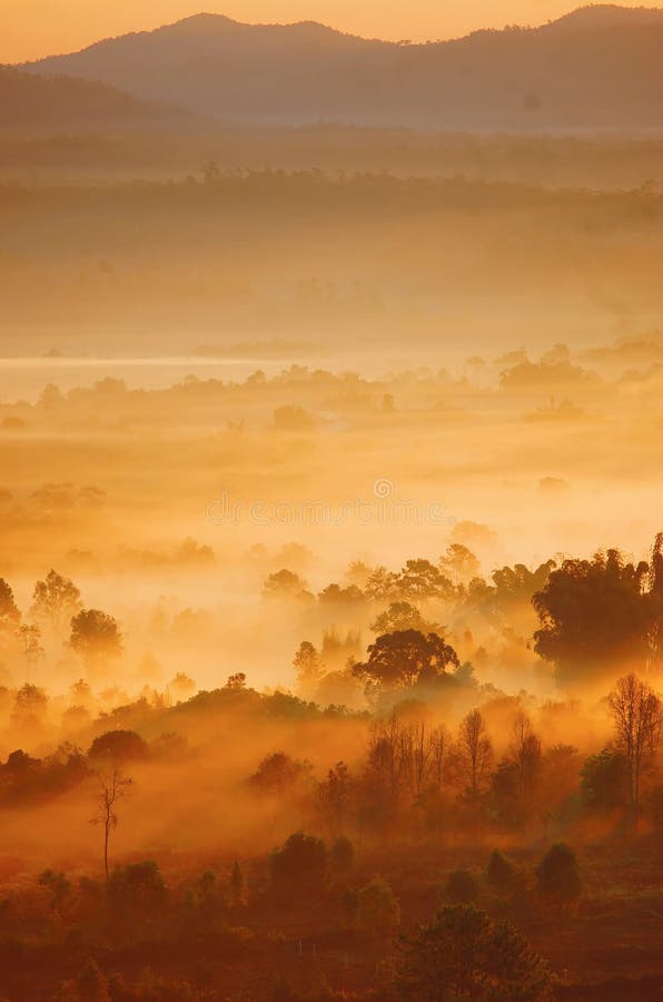 Autumn Landscape of the Beautiful Forest, at Sunrise Stock Image ...