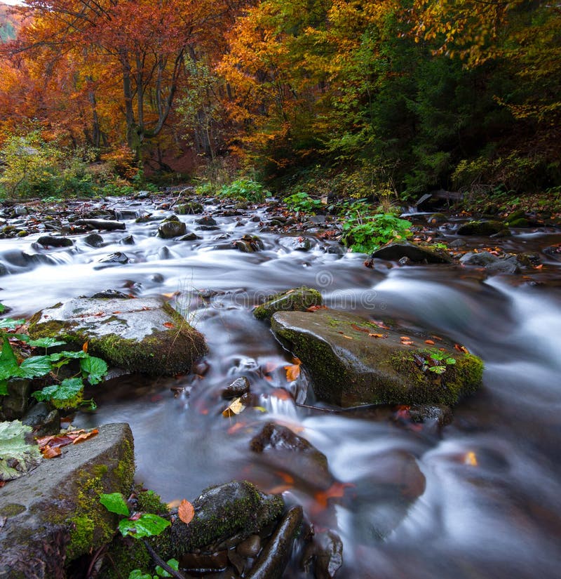 Beautiful Autumn Landscape with River, Bridge and Trees. Stock Image ...