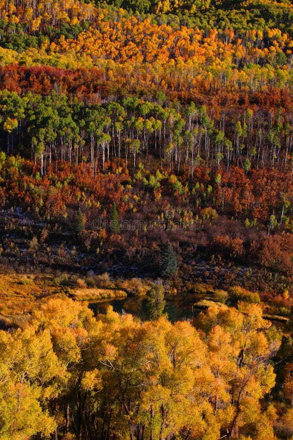 Autumn landscape stock photo. Image of wood, bushes, colors - 34702956