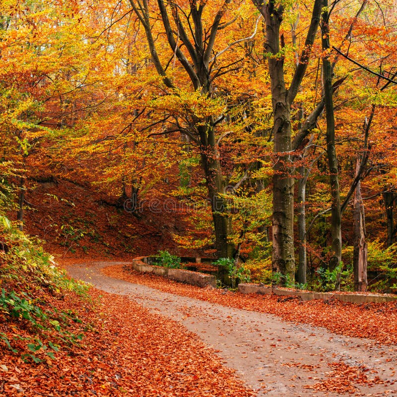 Autumn landscape stock image. Image of background, peaceful - 66453643