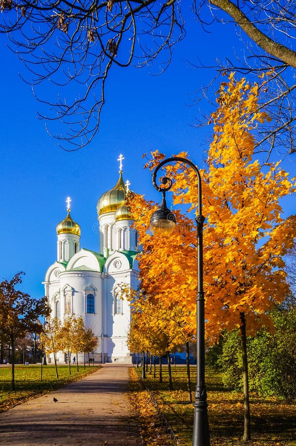 Autumn Landscape. Catherine Cathedral in Pushkin. Autumn 2016 ...